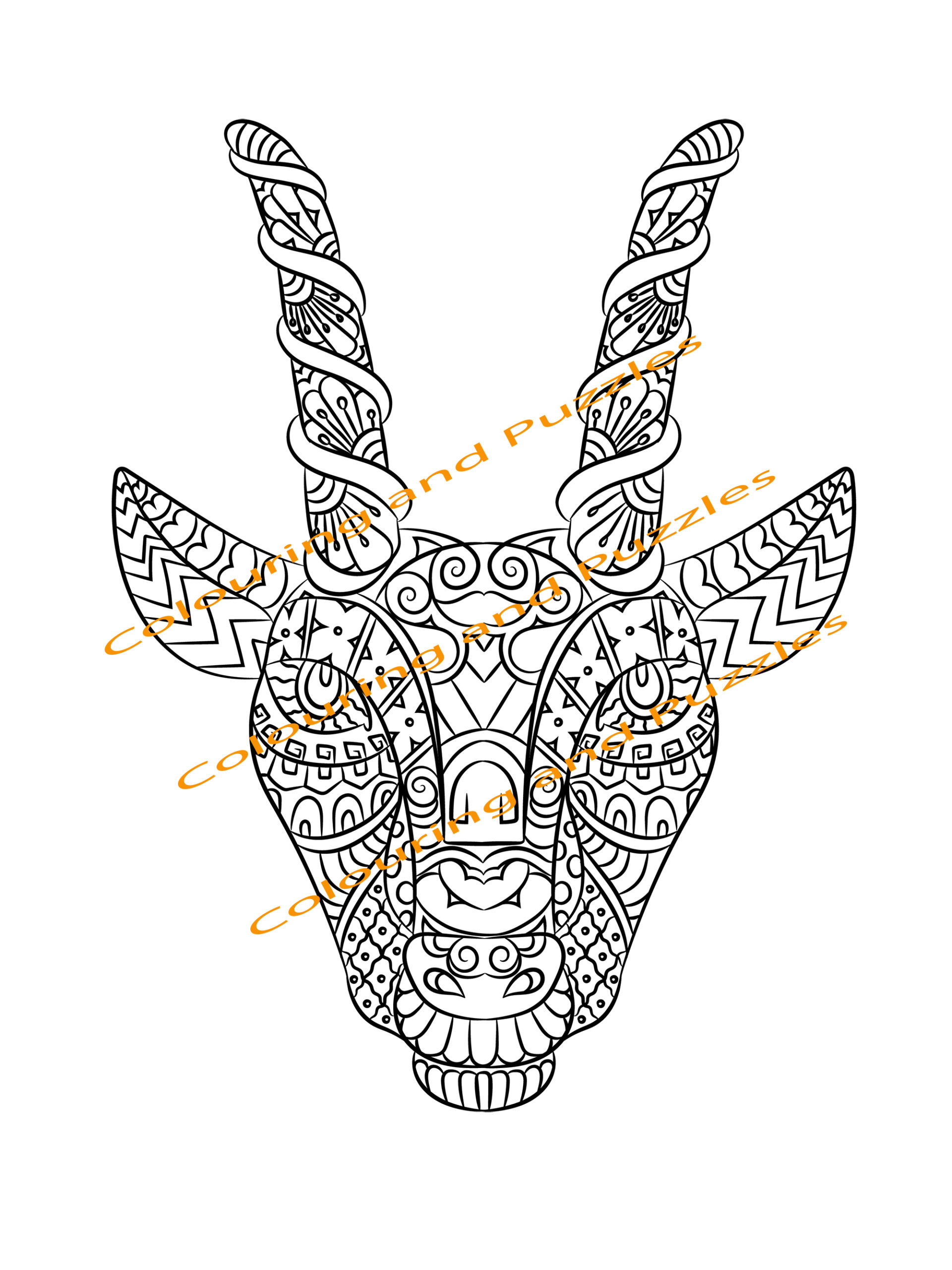 Animal Face Mandalas Adult's colouring book - Inspired Fun