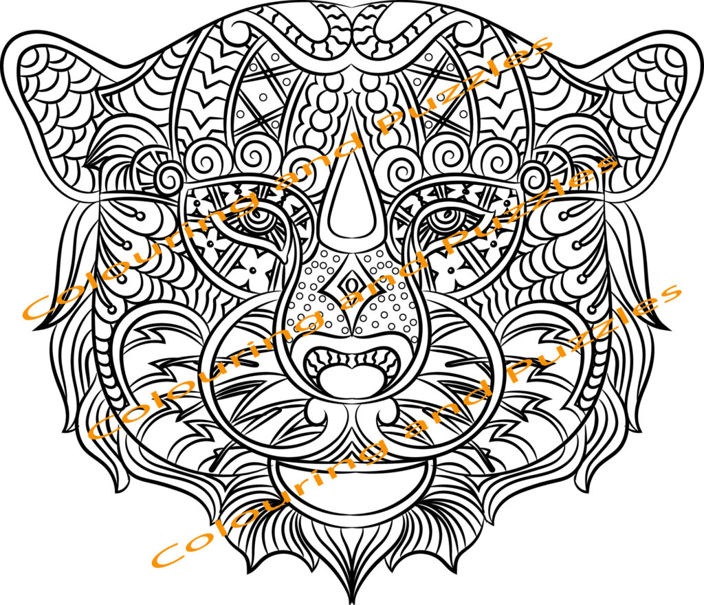 Animal Face Mandalas colouring book – Inspired Fun